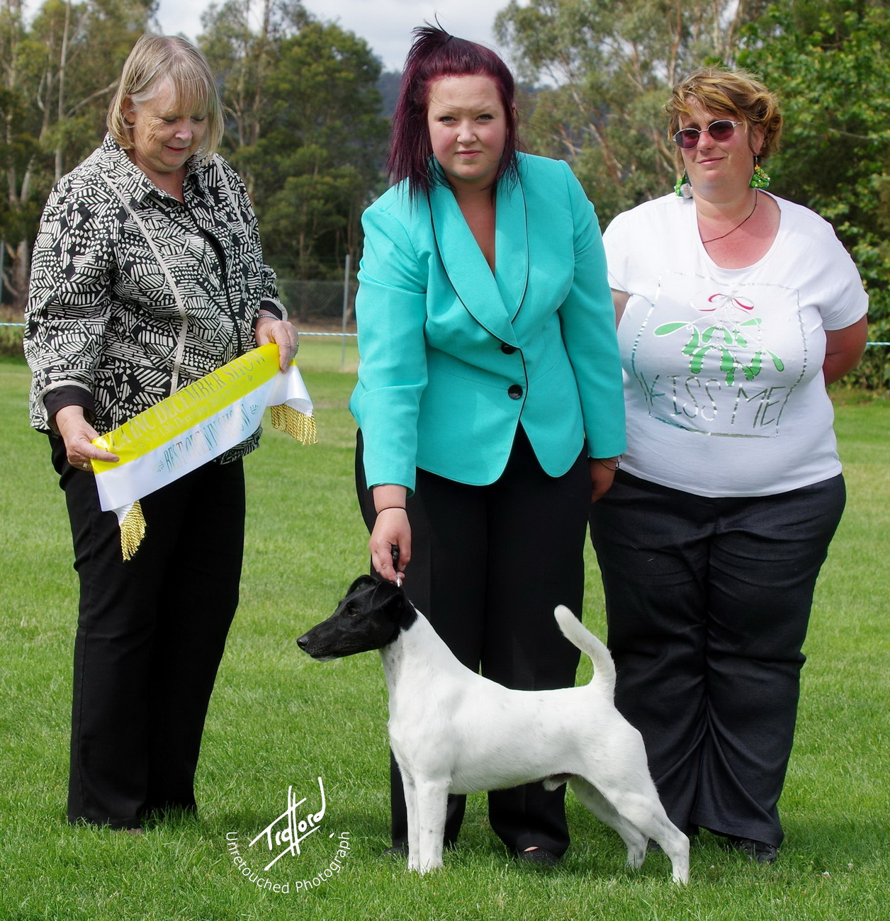 TraffordPhotos - Australian Dog Show Photos: TASMANIAN CANINE ...