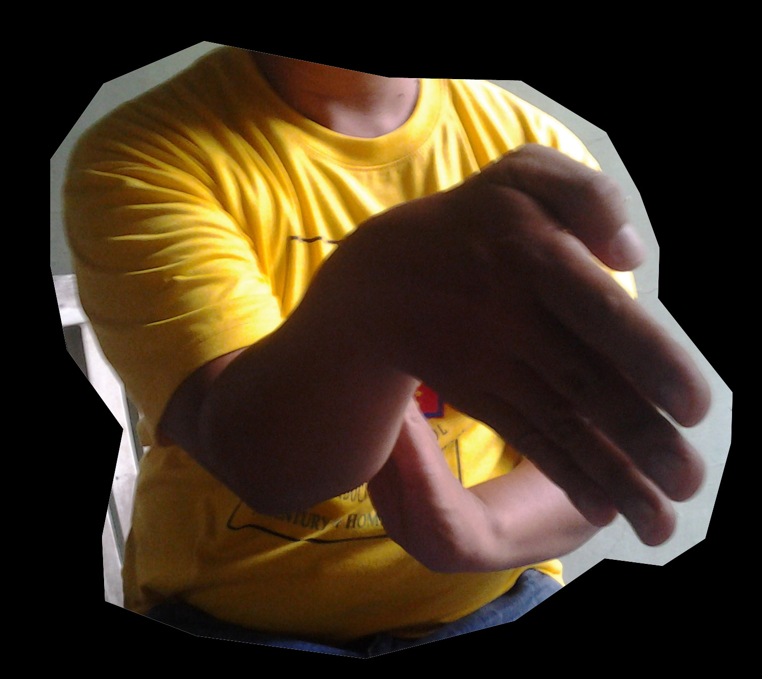 Mantis36: WING CHUN KUNG FU: Alphabets of Techniques