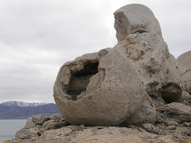 White Wolf : Pyramid Lake Paiute Tribe Holds North America's Oldest ...