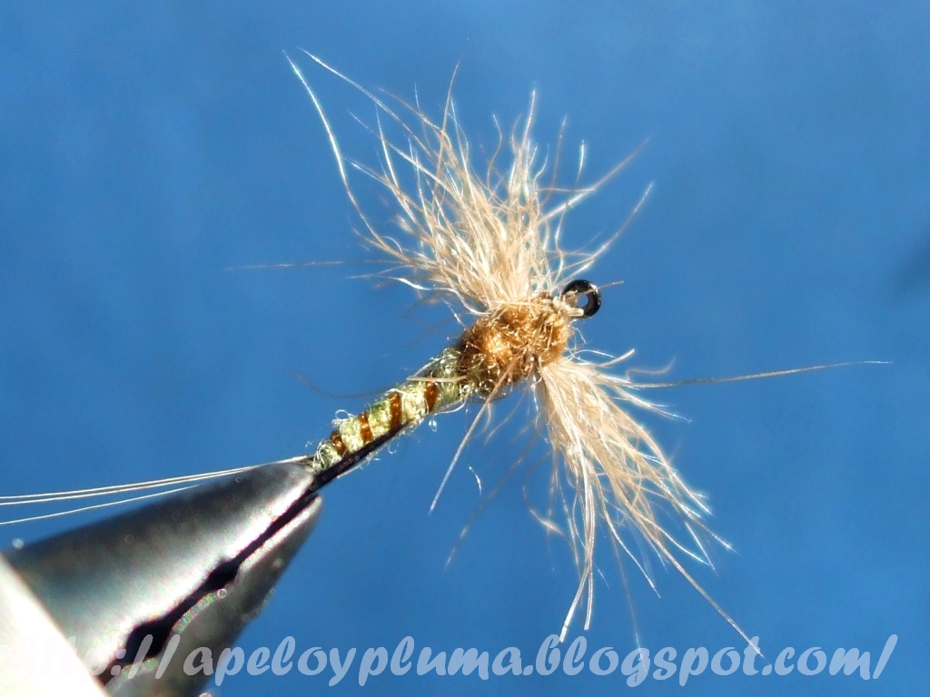 A pelo y pluma-- Flyfishing blog: Epeorus en PLA y CDC