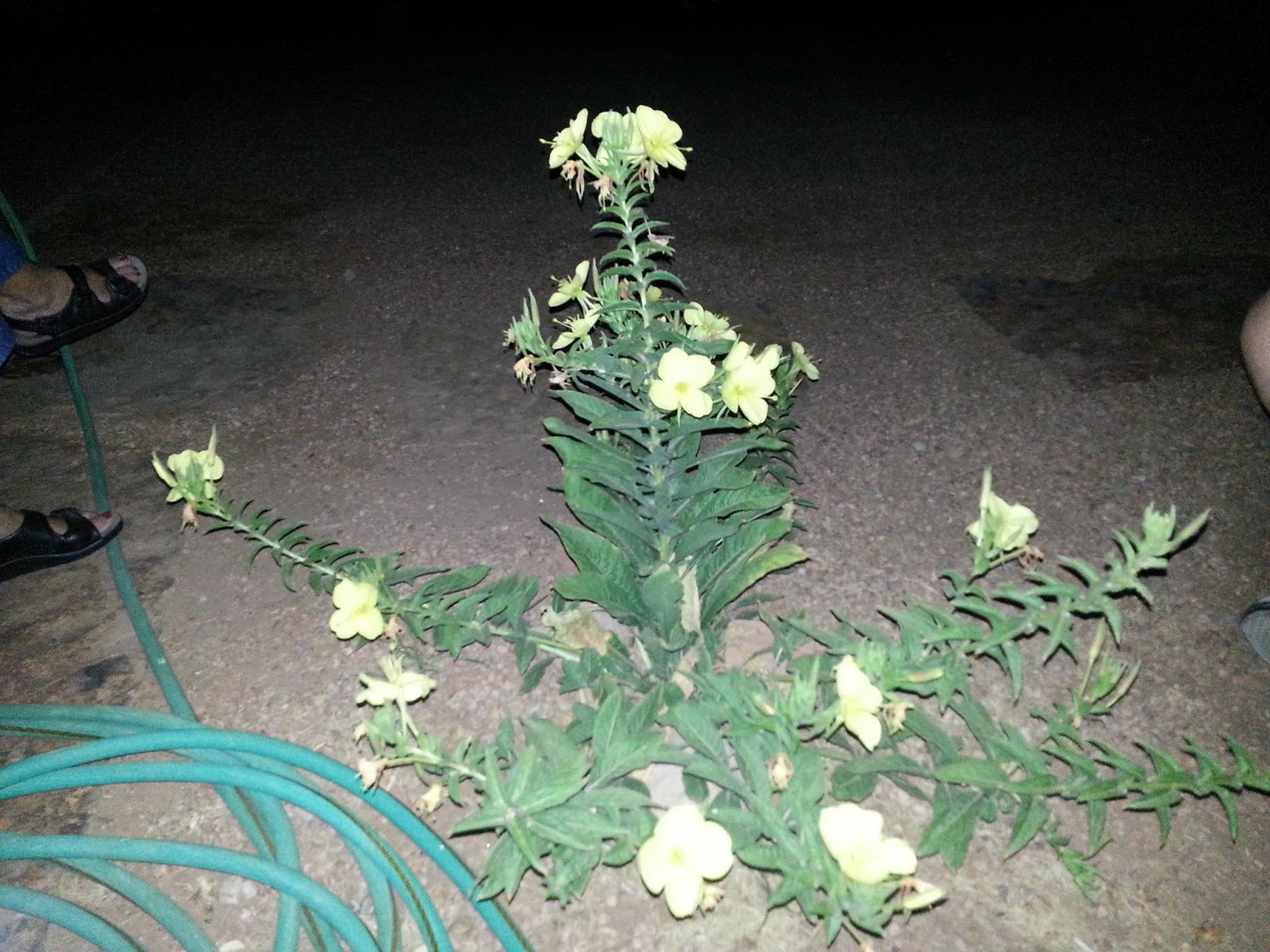 Stuart and Kristi Matheson Hole-in-the-Rock Mission