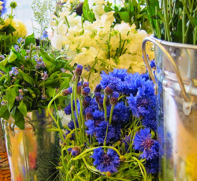 Liz Earle Orange Flower & Chamomile Cleanse & Polish Launch - that's so ...