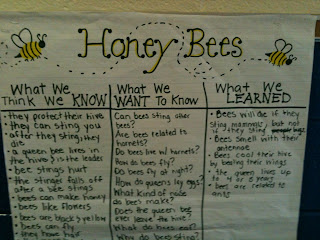 Mrs. Cook's Classroom: Honey Bees and Other Things
