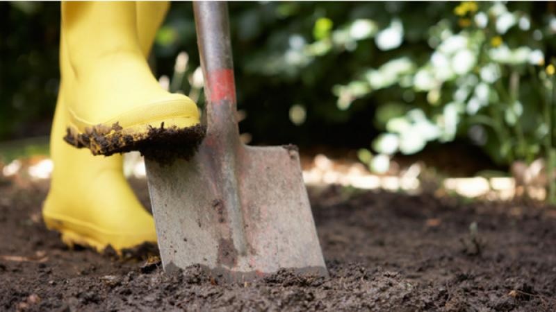 JUAN PASQUAU: CAVAR PROFUNDIDADES