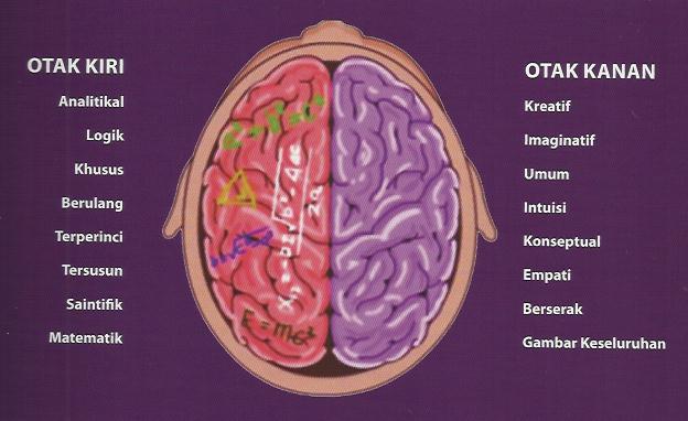 X-EC 78-82: Otak: Cara & Kaedah Manusia Berfikir