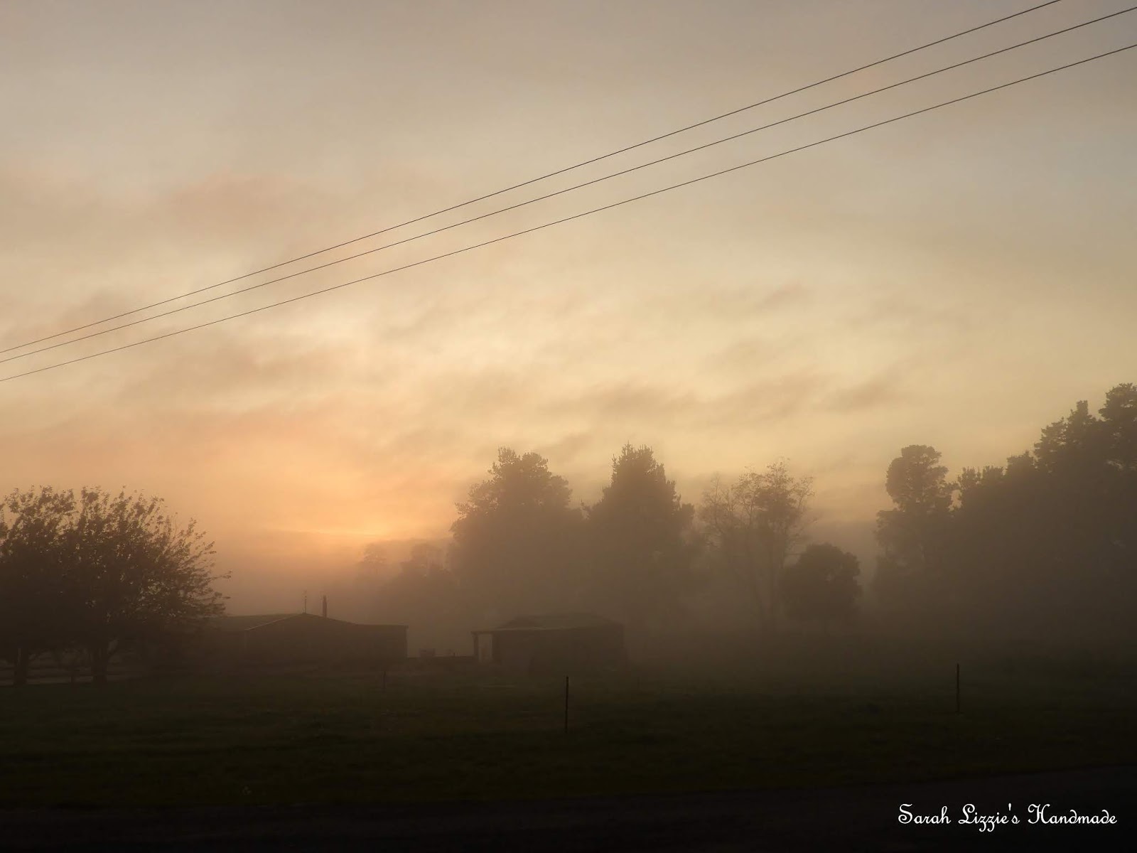 Sarah Lizzies: Splendorous Autumn!