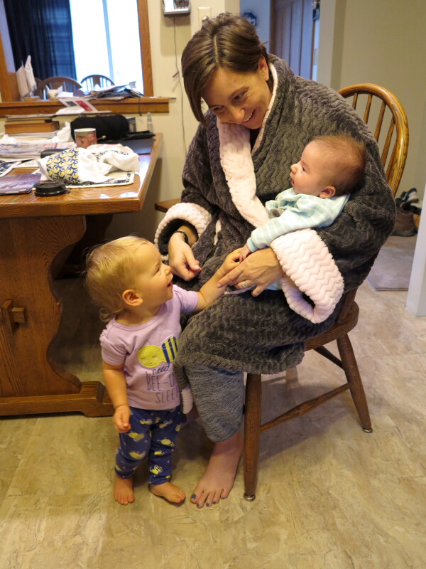 The Joyce Road Neighborhood: 2016