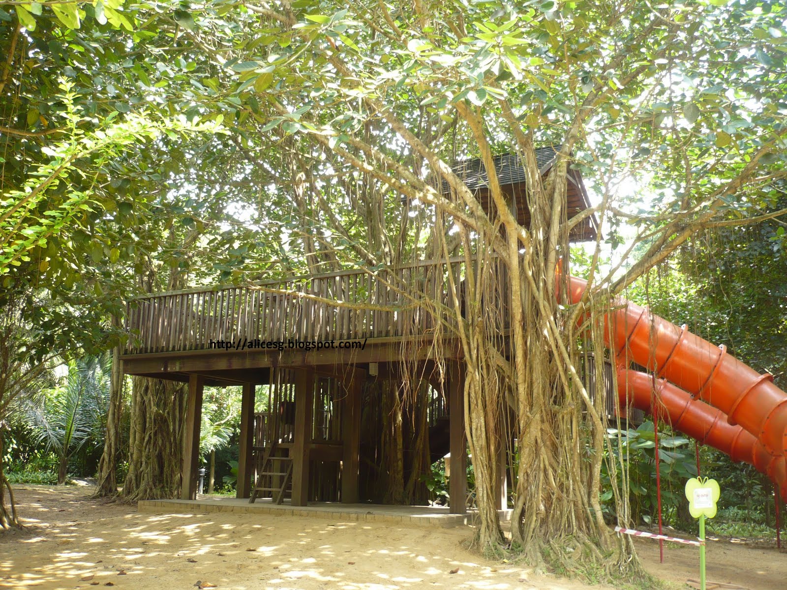 Alicesg-Singaporemyhome: Singapore Botanic Garden - Jacob Ballas ...