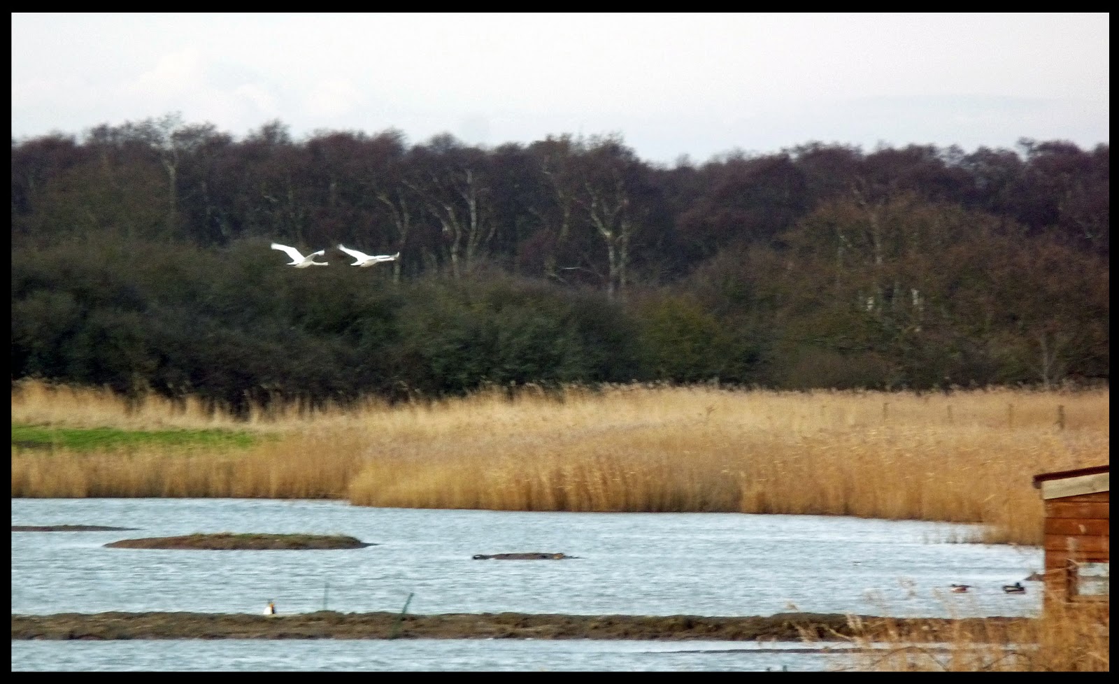 Wild and Wonderful: Nature Reserves: Minsmere (iridescent clouds)