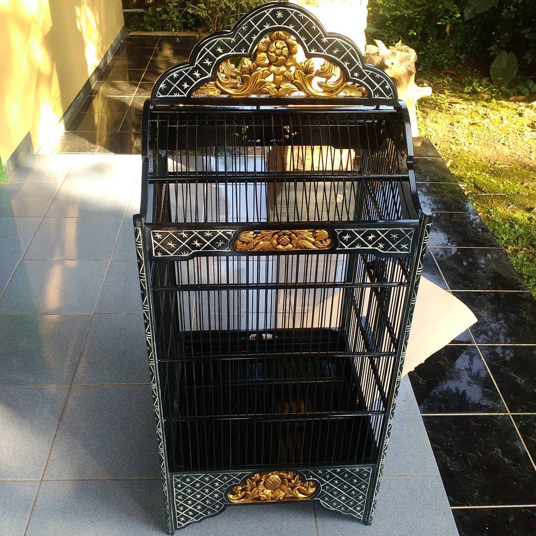 Jual Sangkar Ukir Murah Kacer, Cucak Ijo, Kenari Model Kotak Dan Bulat ...