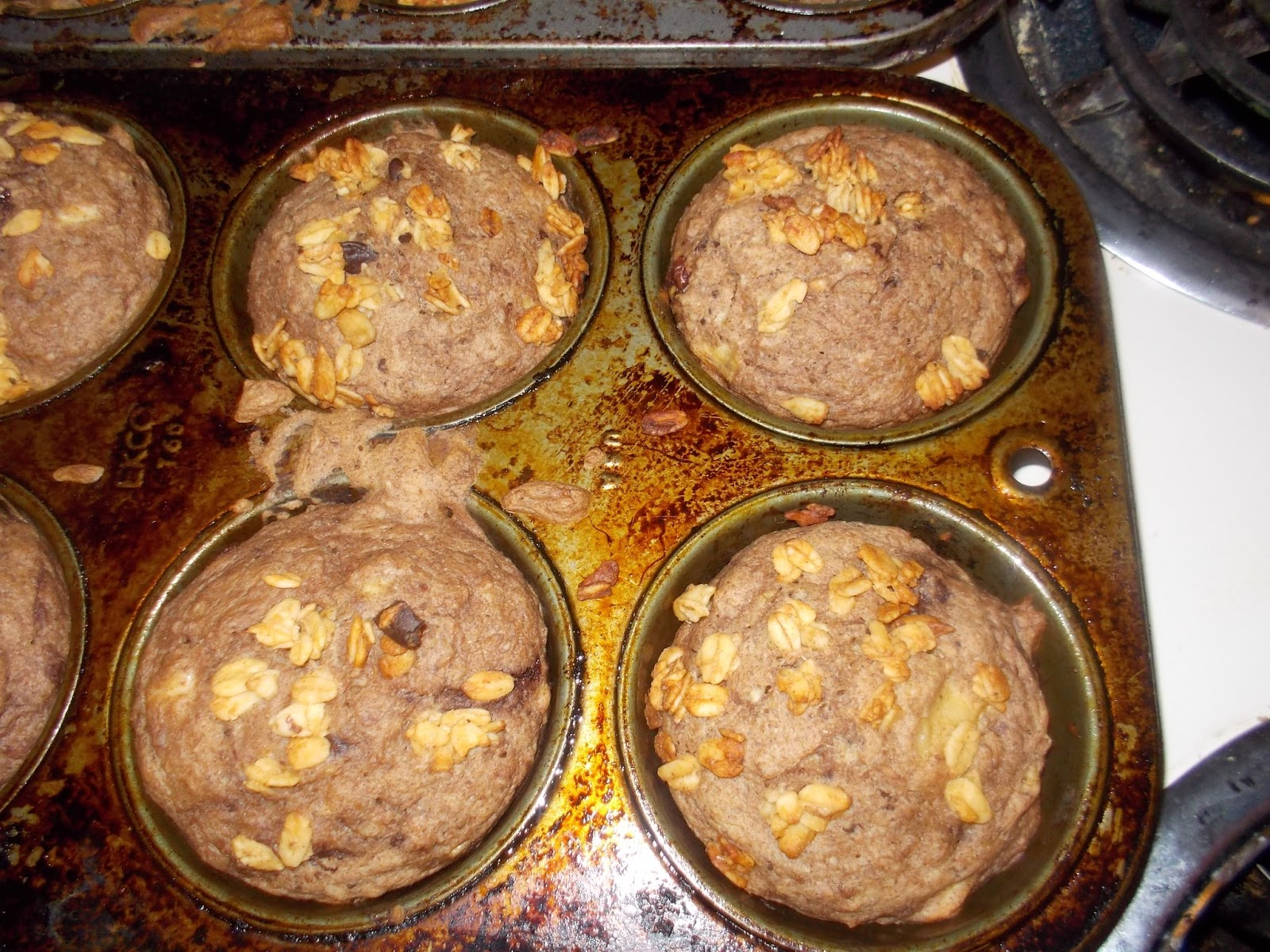 The Holistic and Natural approach to a healthier You!: Chocolate Chip ...