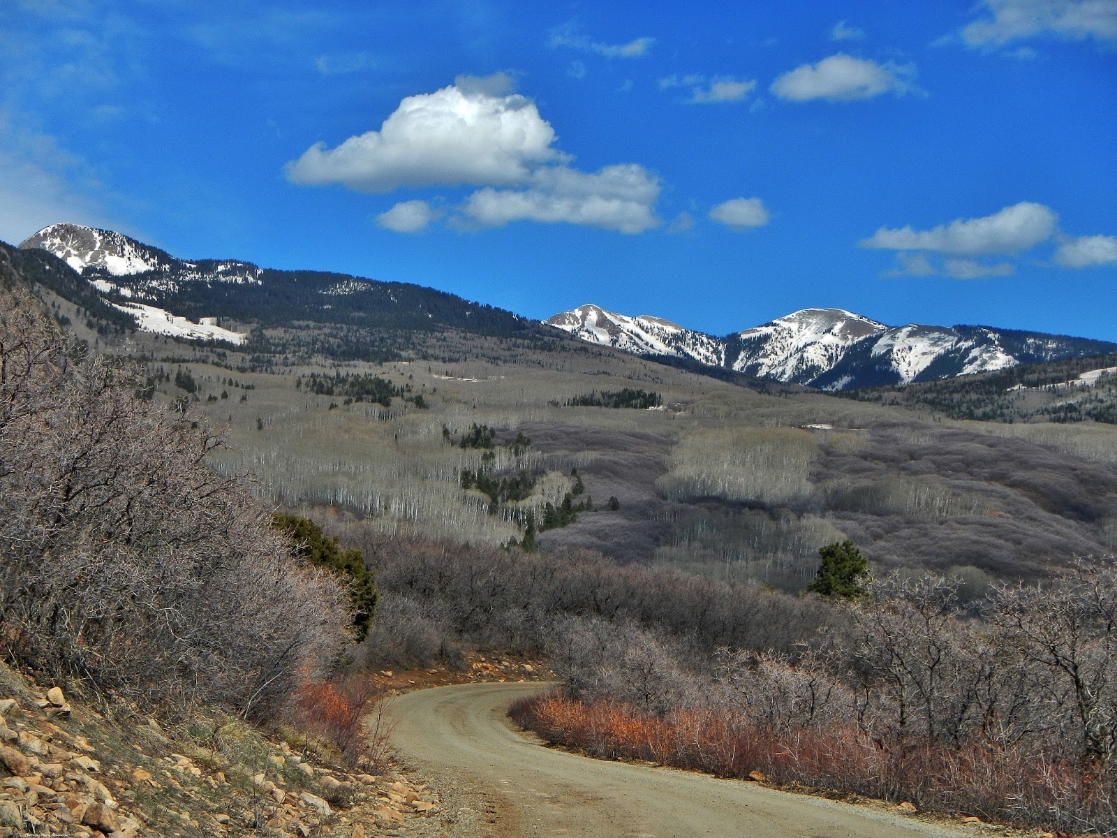The Southwest Through Wide Brown Eyes: Echo...Echo...Echo Basin.