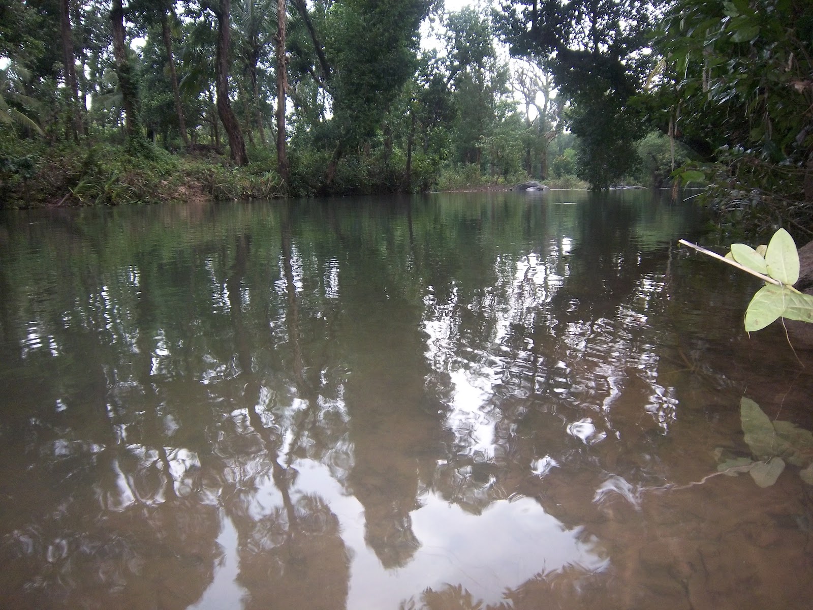 Namma Hebri: Hebri | Place where Nature Plays