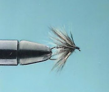 Fly Fishing with Doug Stewart: Tying Spiders for Dry and Wet Fly Fishing