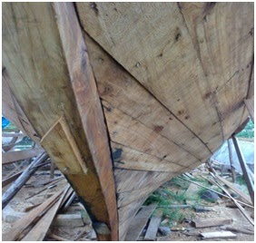 Onesiklopedia: Jenis Kayu Yang Digunakan Untuk Kontruksi Kapal Di Aceh