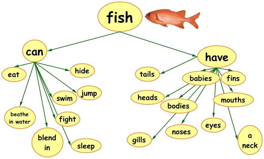 Kindergarten Tales: Sea Life Unit...the Beginning...