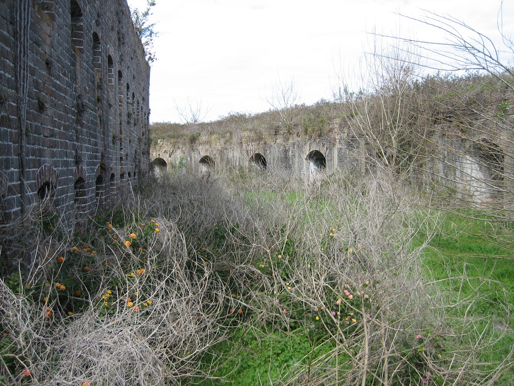 Deserted Places: The ruins of Fort Macomb in New Orleans