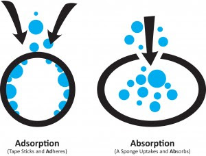 Read Here: : What is the difference between absorption and adsorption