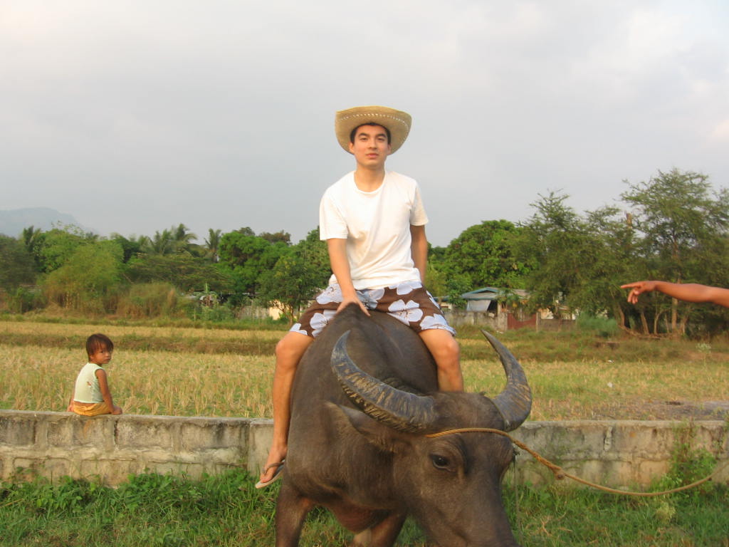 Riding a Carabao ~ The Coconuter