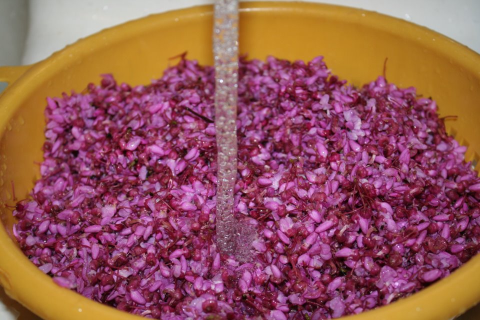 Mr. Johnson's Redbud Jelly