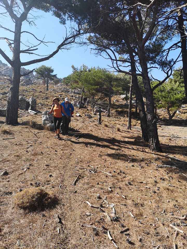 EXPLORE MOUNTAINS: ΠΕΖΟΠΟΡΙΑ ΣΤΟ ΔΑΣΟΣ ΤΗΣ ΘΡΥΠΤΗΣ