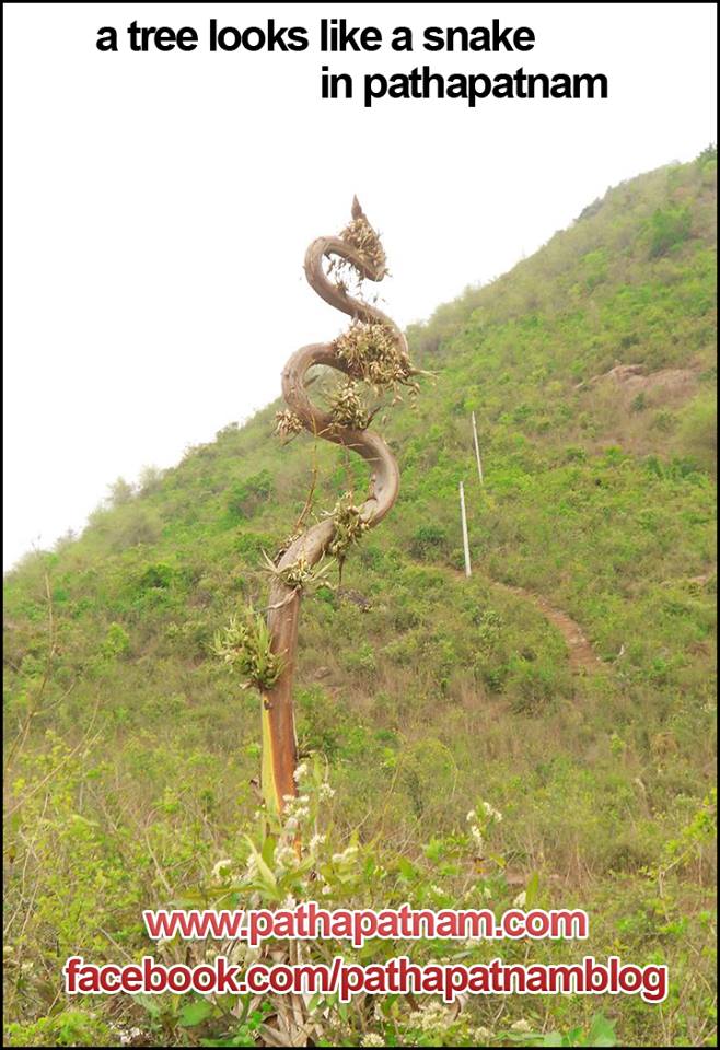 Battili - JungleKey.in Image