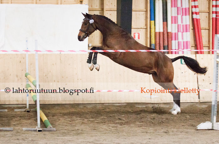 Takaisin lähtöruutuun: Mistä on Laatuponit tehty?