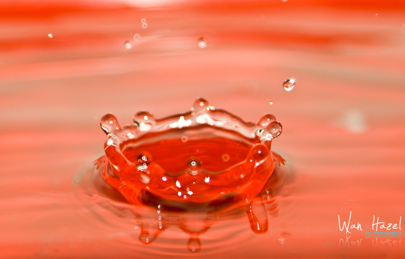 Wadah Madrasah Pengalaman: Tutorial Photography : Water Drop