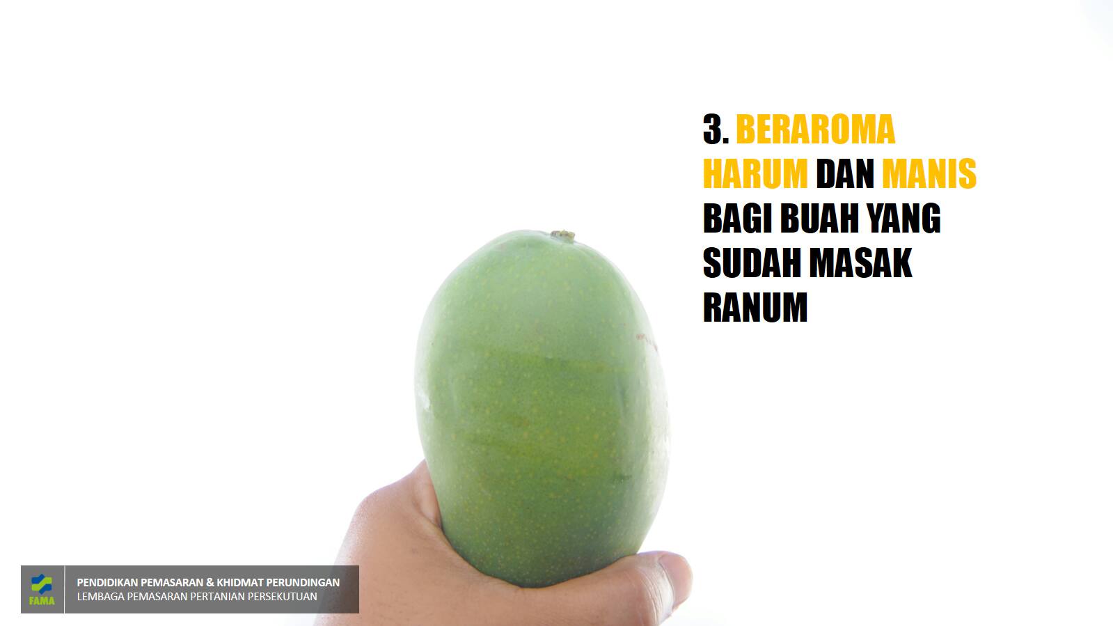 Cara Kenal Buah Mangga Harum Manis yang Asli