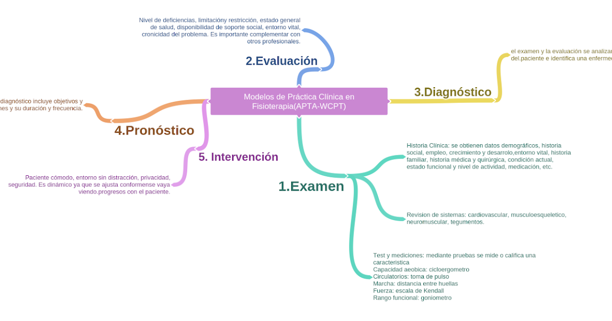 Fisioscool Modelos De Práctica Clínica En Fisioterapia Apta Wcpt