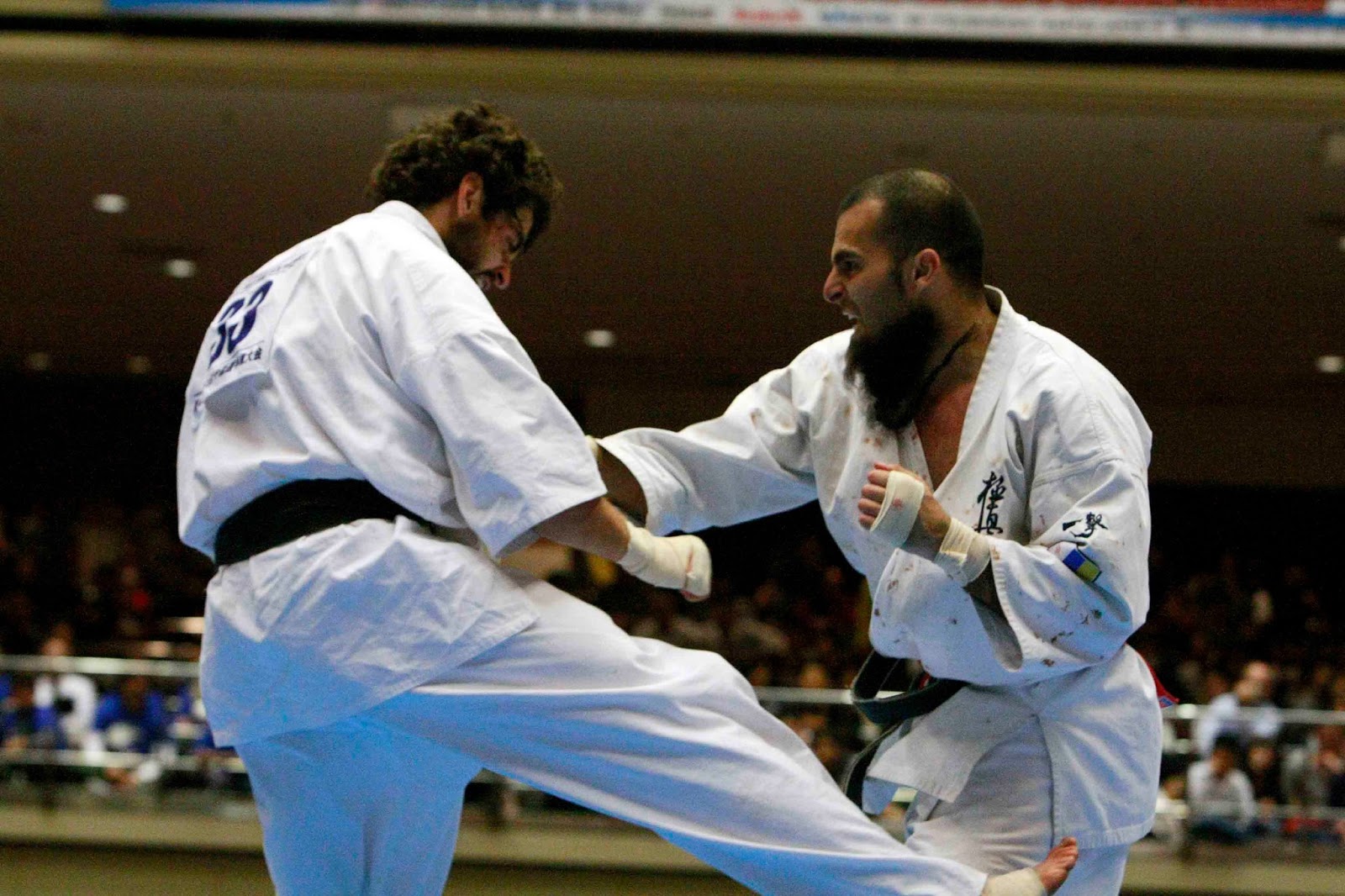 IKO SPAIN: European Open Karate Championship 2013