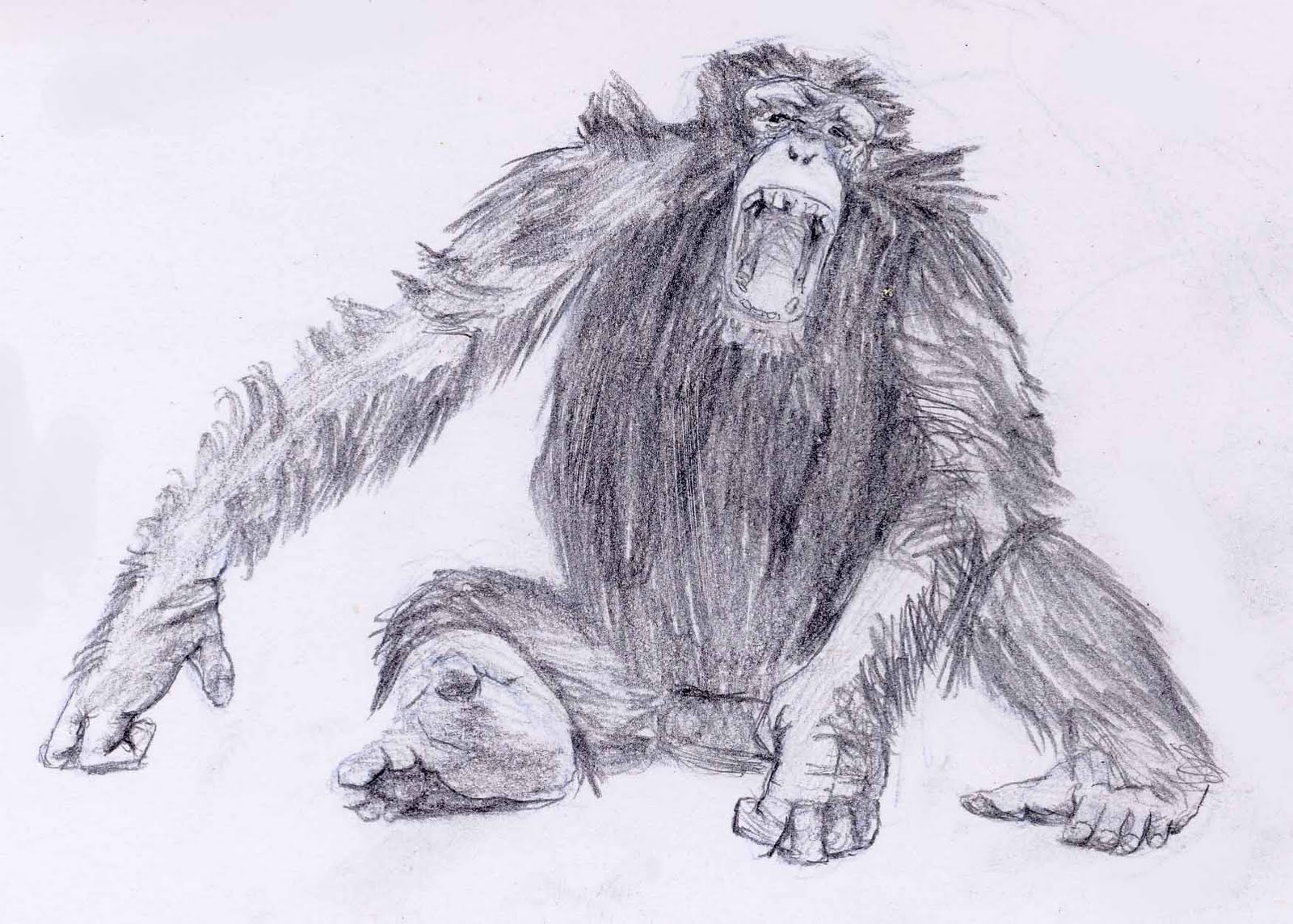 Jim's Doodles: I'm on an angry primate rampage