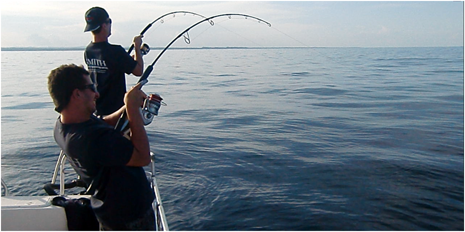 Masta'Fish guide pêche Bassin d 'Arcachon