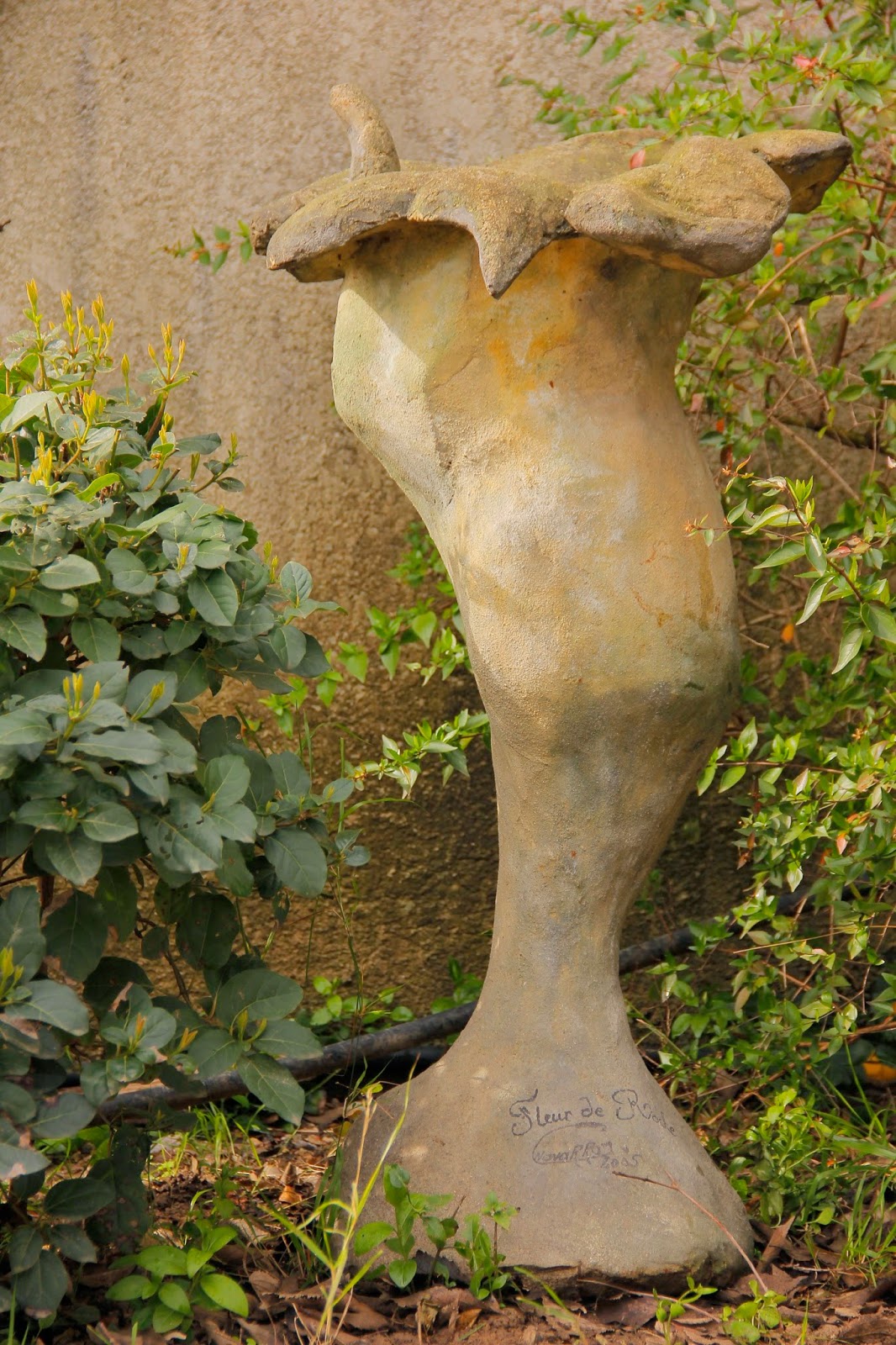 Rocailleurs et jARTdin bio: GEORGES NAVARRO.. CAILLEUR ! (Jo)