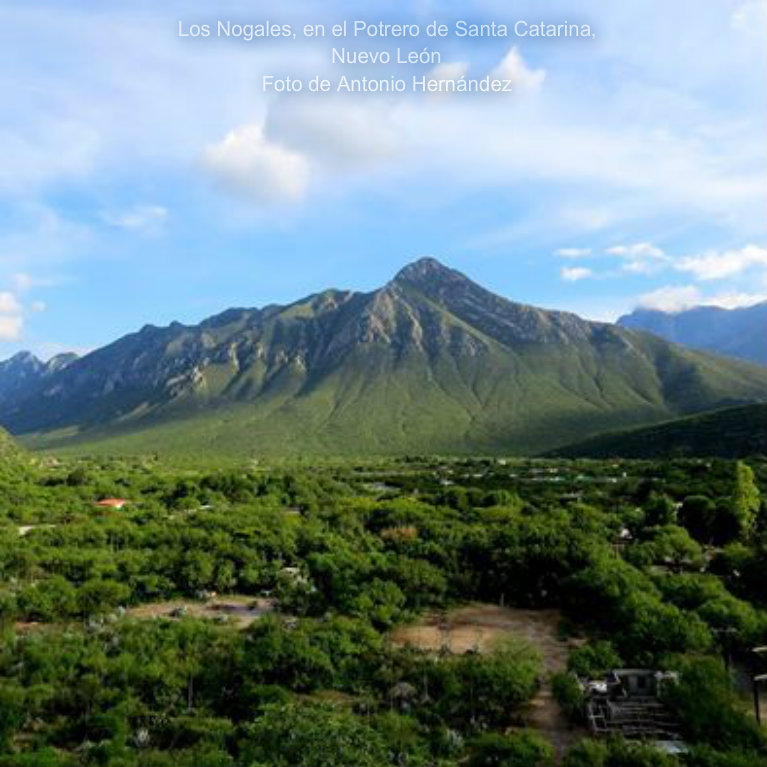 Evocación y memoria...: El Parque Nacional Cumbres de Monterrey
