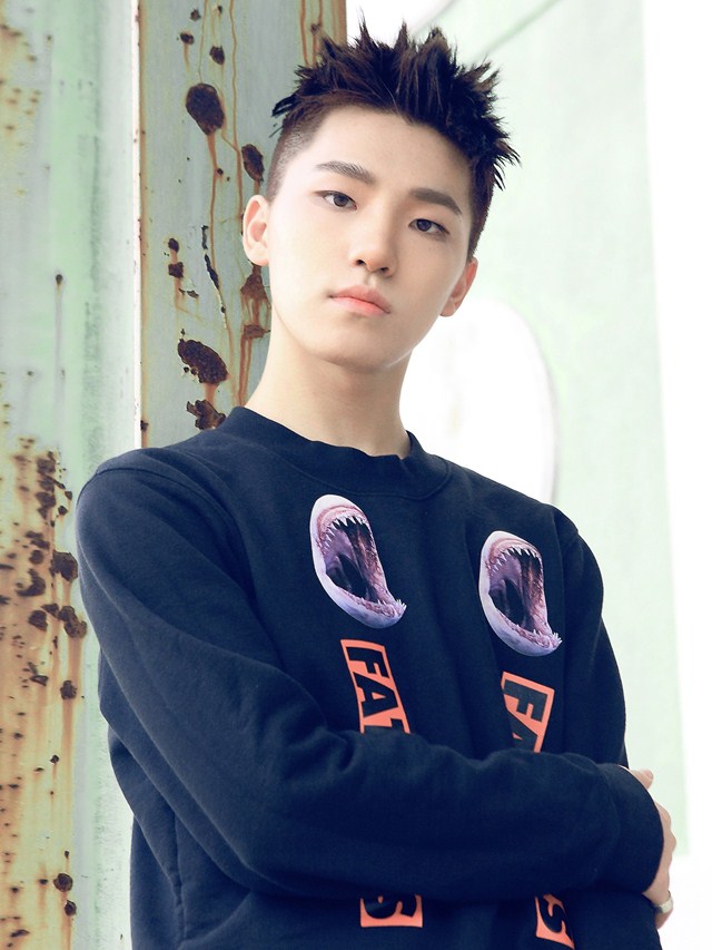 Share Like and Happy: Profil, Biodata dan Fakta SEVENTEEN