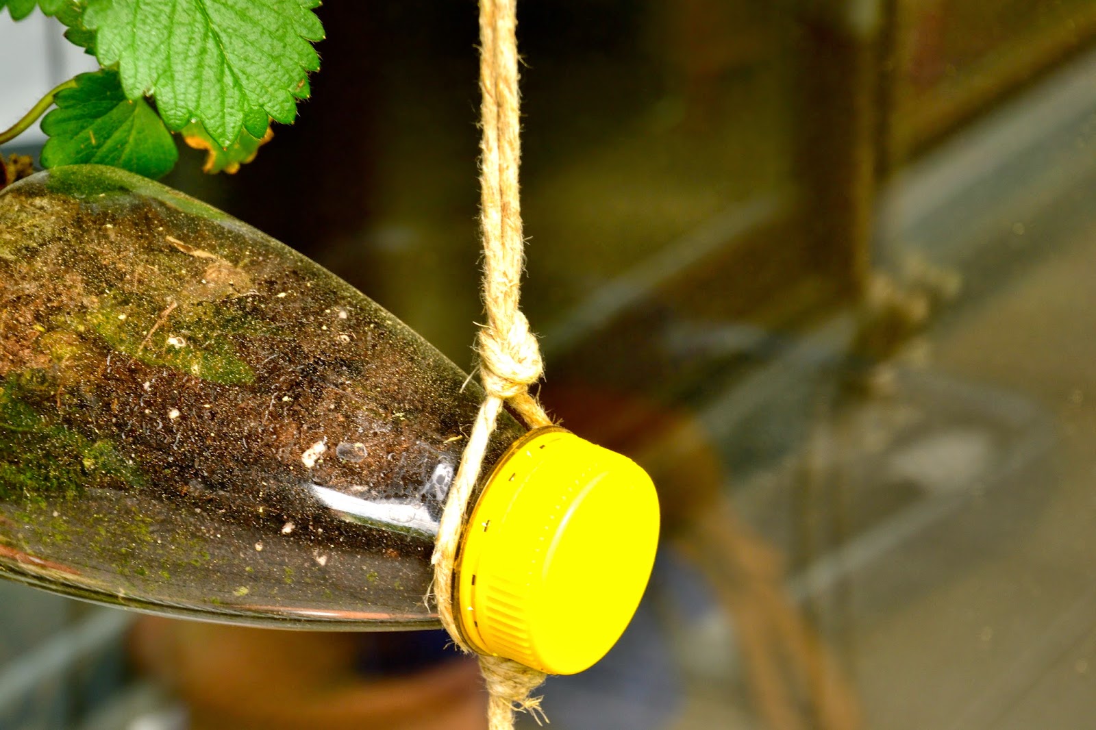 Jardín vertical colgante con botellas plásticas - Dos culturas, una familia