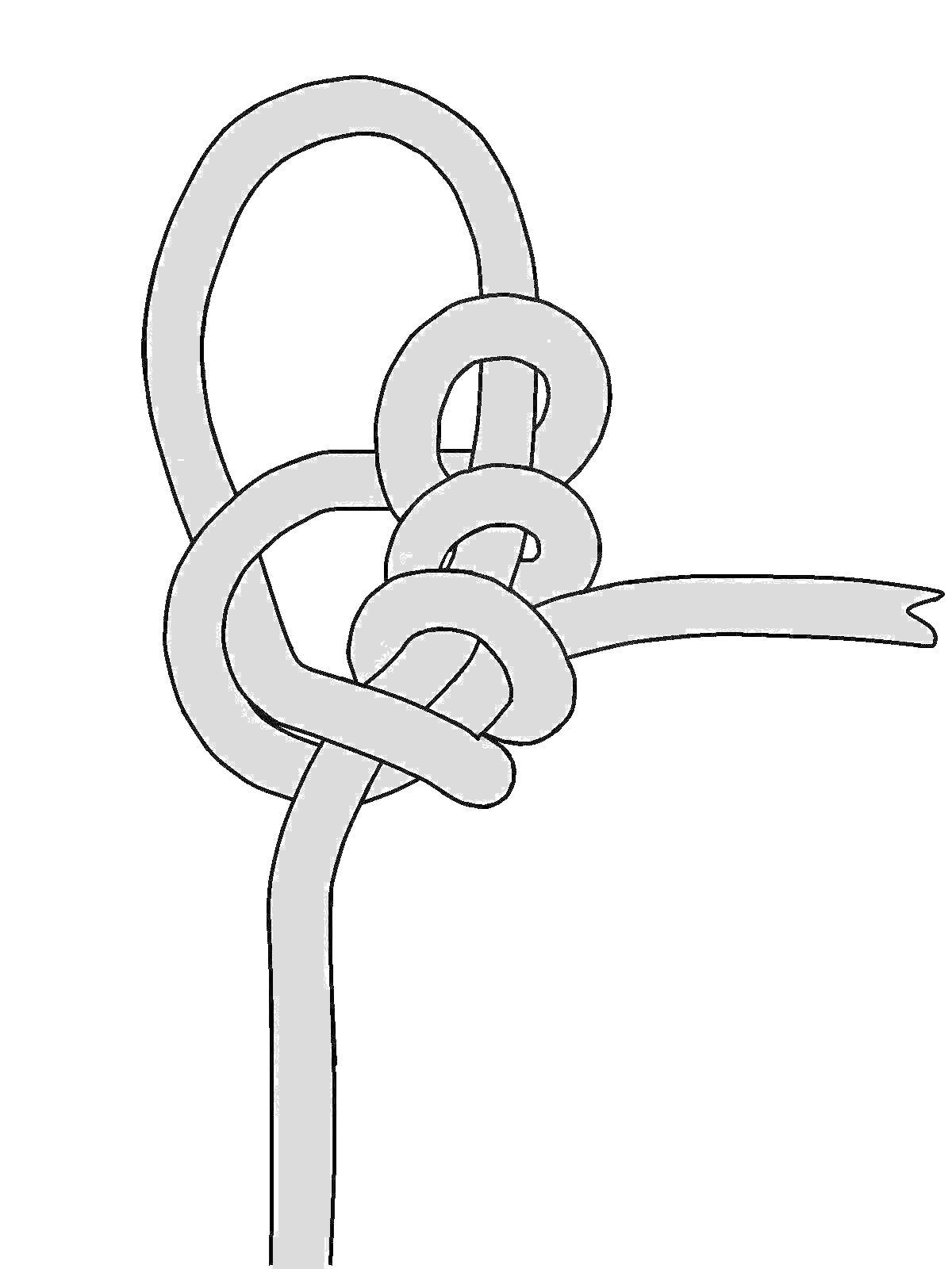 New Approaches with Knot Tying: How to Electronically Draw a Knot