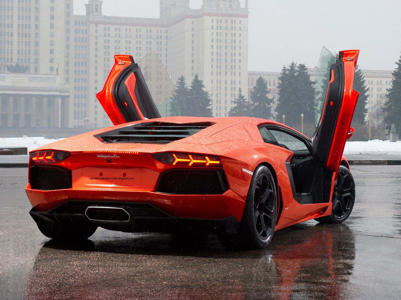 Mobil Lamborghini, Supercar Dengan Pesona Dan Kecepatan Yang Menawan ...