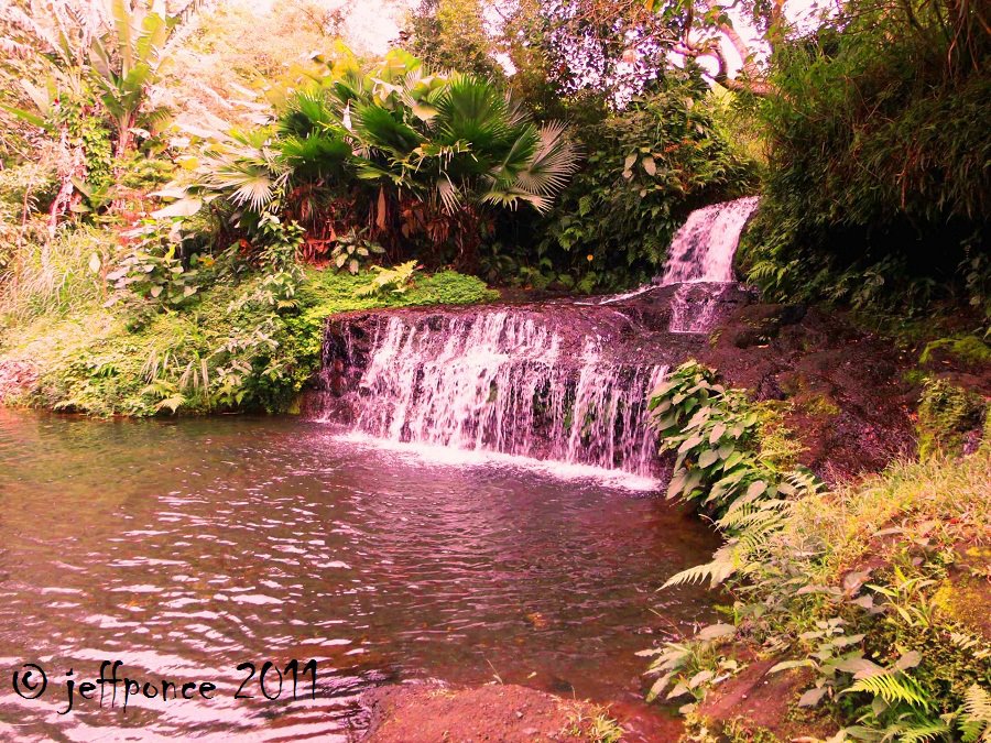 Bisayang Manlalakbay around the Philippines: Balite Falls Resort ...