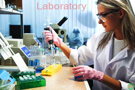 Laboratory Equipment Names, Meaning & Pictures | necessary vocabulary ...