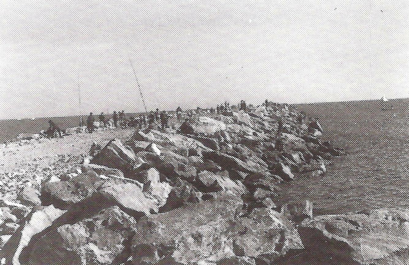 El Tranvía 48: La playa de Can Tunis: algunos apuntes históricos
