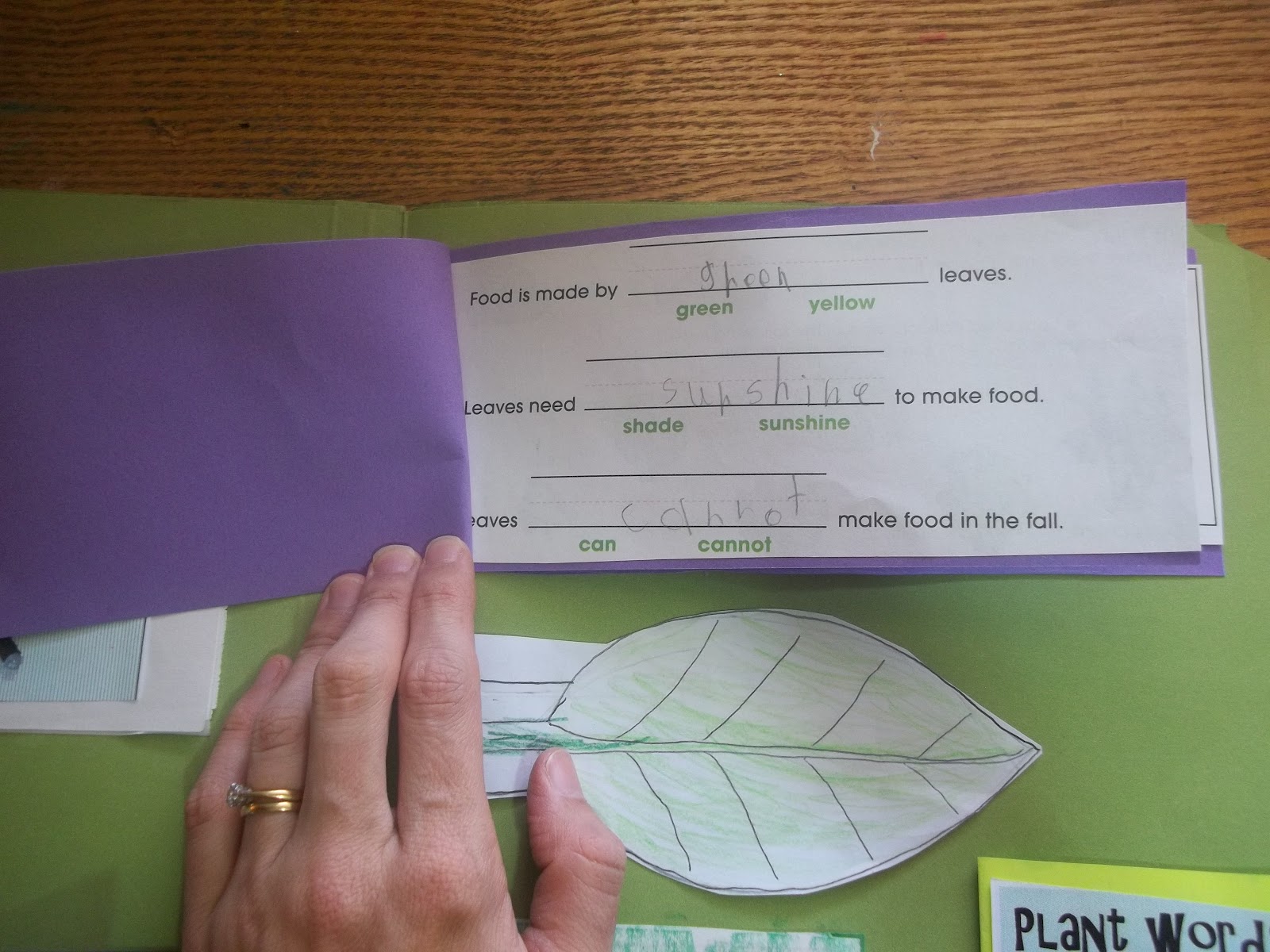 Plant unit wrap-up | Piwi Kids