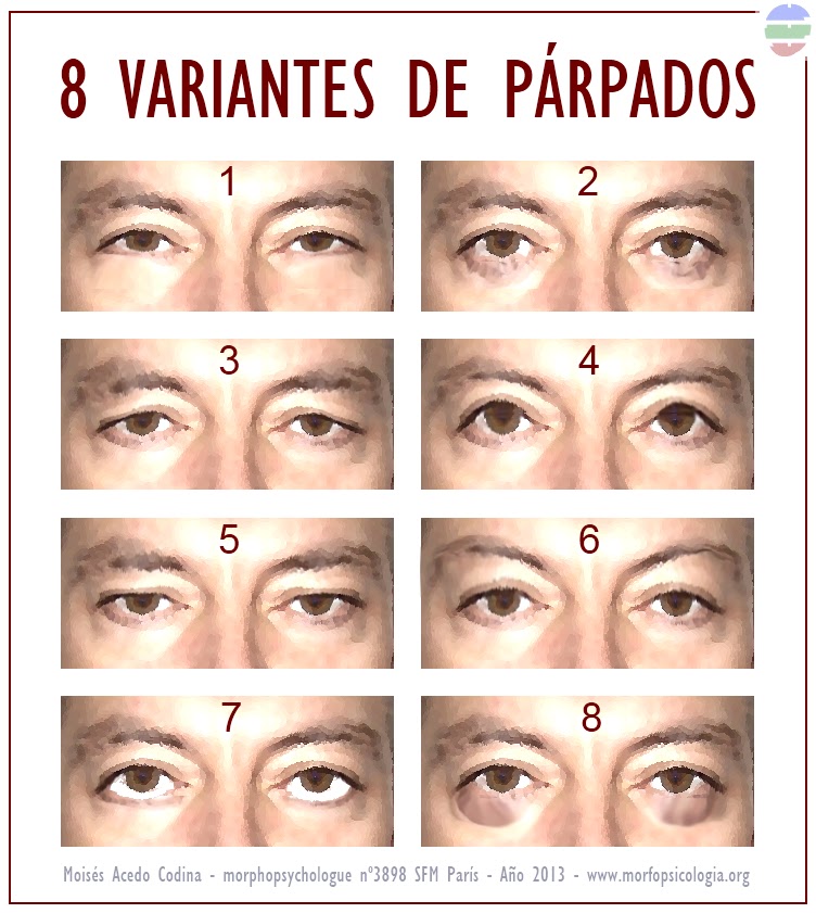 Moisés Acedo Codina: 8 TIPOS DE PÁRPADO Y SU SIGNIFICADO