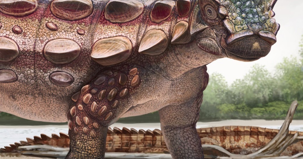 Species New to Science: [Paleontology • 2018] Akainacephalus johnsoni ...