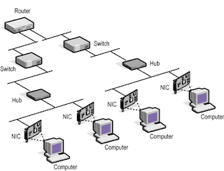 computer information: networking diagram in local area network