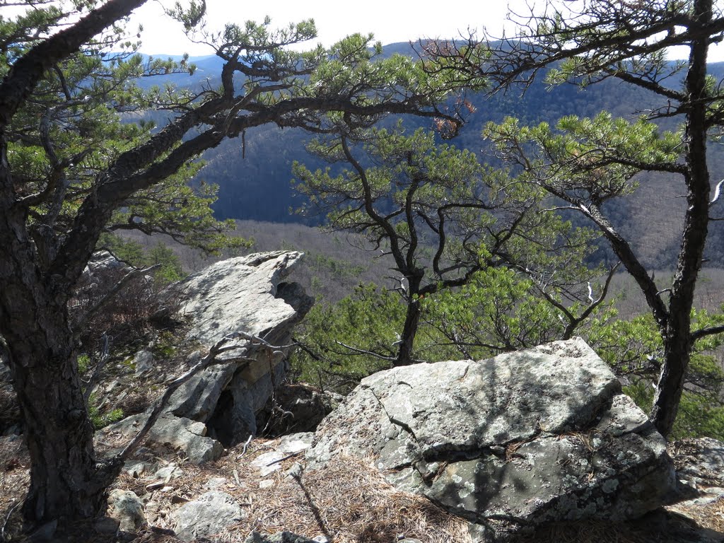 Skookum Traveler: Big Ridge and Cranny Crow (WV)