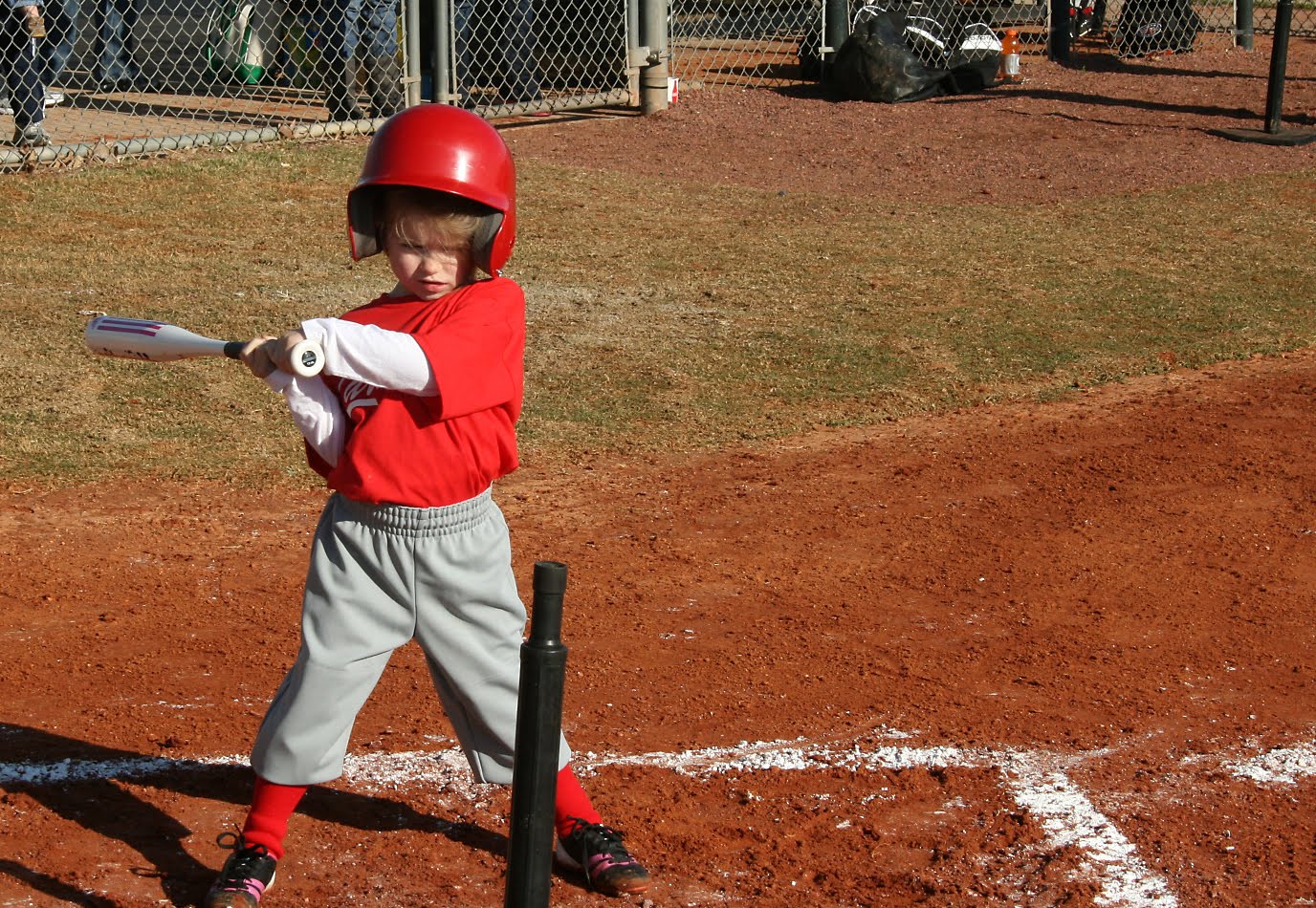 The Barclay Family: Here batter, batter, batter....