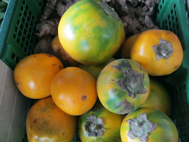 Chomel2u: TERUNG DAYAK (TERUNG ASAM SARAWAK)