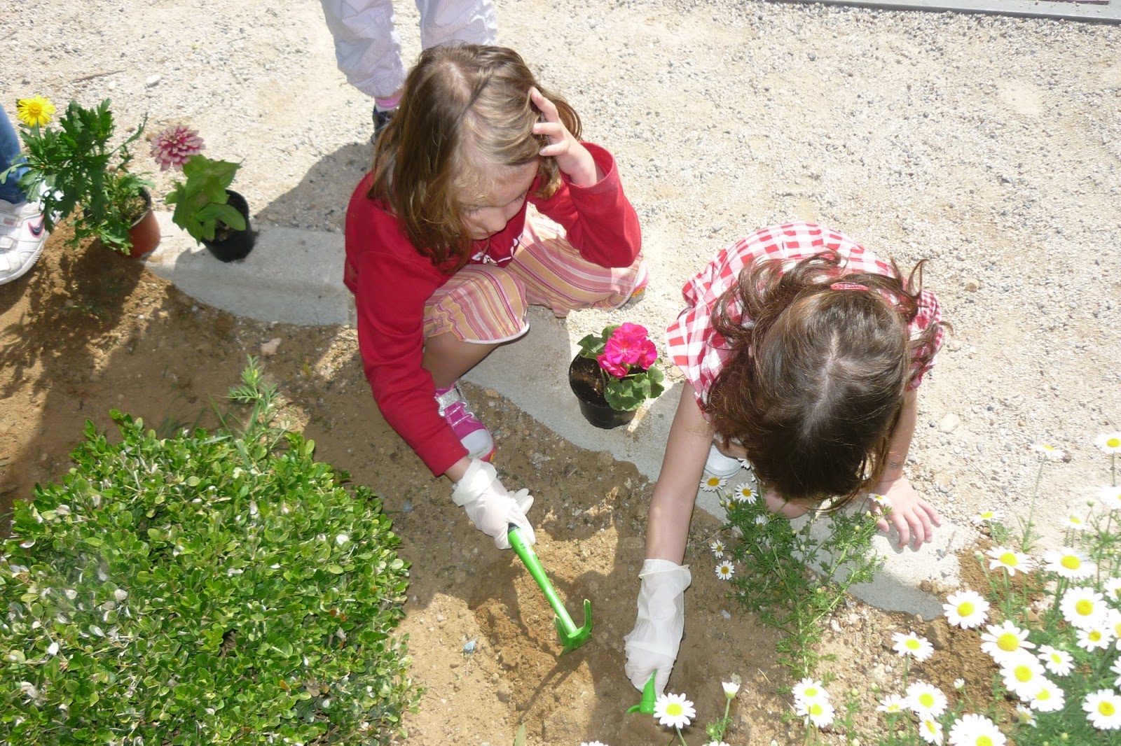 Το πιο ωραίο σχολειο είναι το Νηπιαγωγείο: ΟΜΟΡΦΑΙΝΟΥΜΕ ΤΗΝ ΑΥΛΗ ΤΟΥ ...